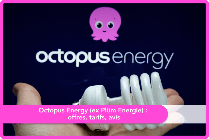 Octopus Energy (ex-Plüm Energie) : offres, tarifs, avis